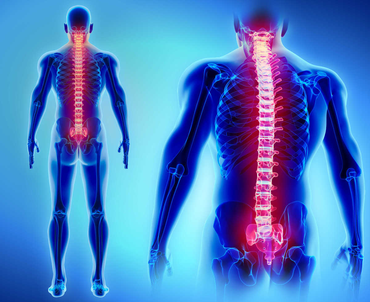 Comprehensive Spinal Cord Injury Care in BC | Neuromotion